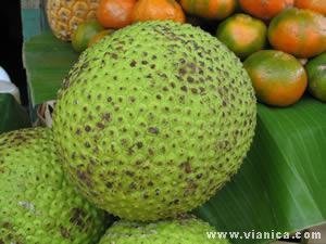 Nicaraguan Fruits | Nicaragua | ViaNica.com